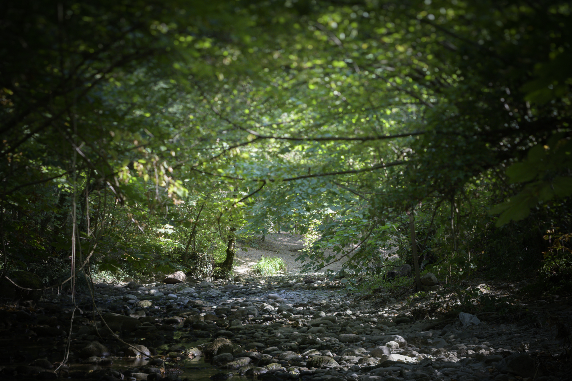 Promenade le long de la Drize | Ville de Carouge